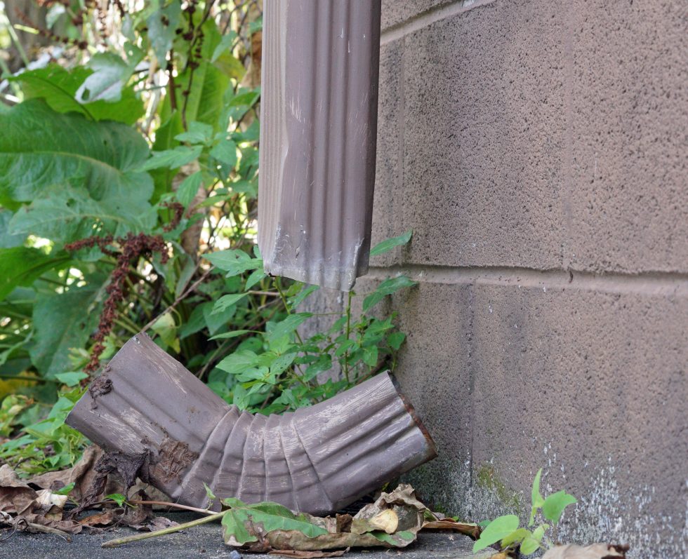 Understanding Drainage Problems: Signs and Solutions for Your Home ...